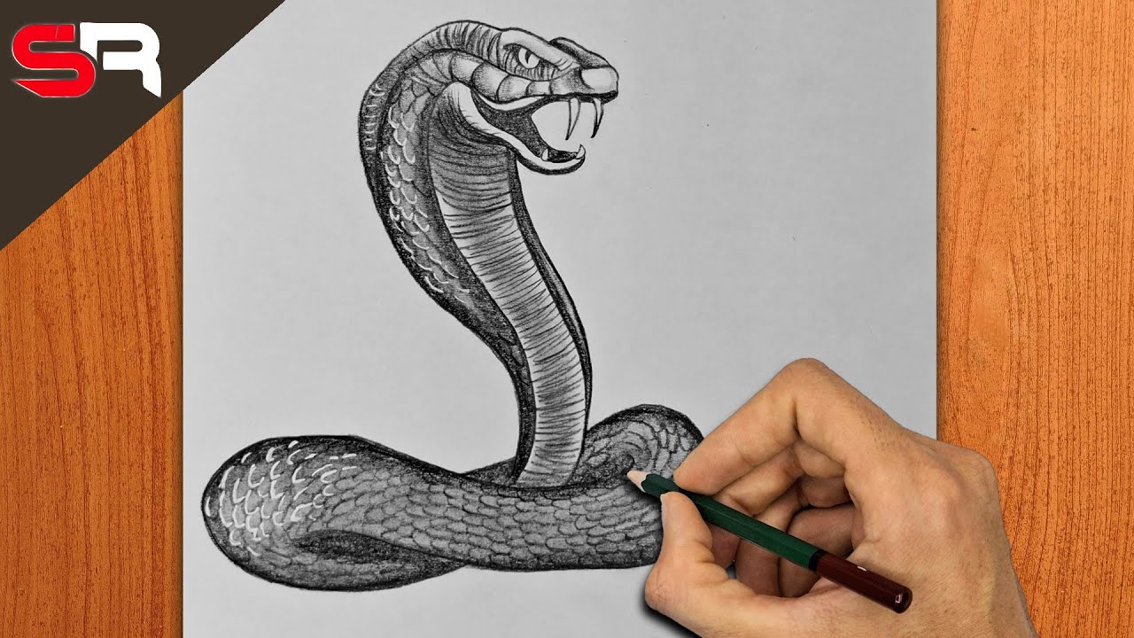 How to draw an Terrible snake - Easy step by step for beginners - YouTube
