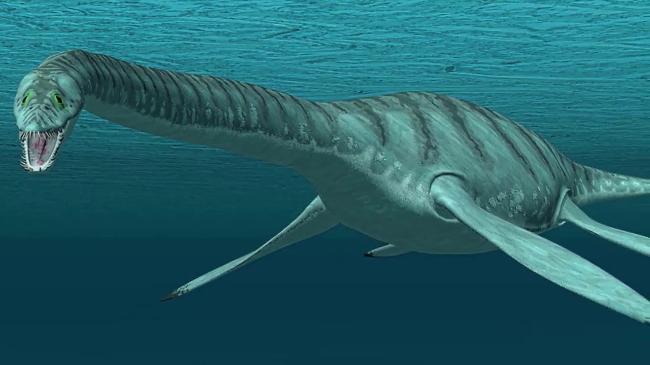 7 Mysterious Deep Sea Creatures Spotted On Google Earth - YouTube