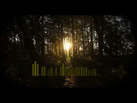 Kokle music beats (dub, down tempo, ambient, chill-out, hip-hop, lo-fi)