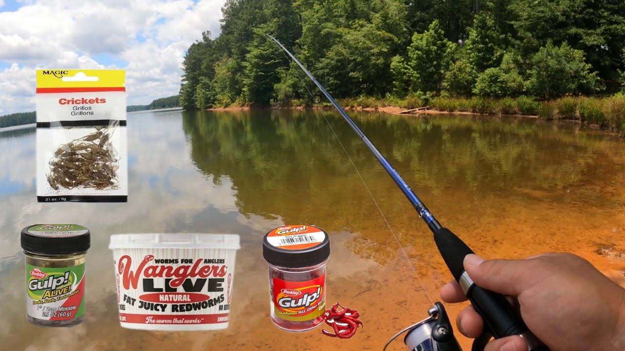 Mastering panfish Fishing: Top Bait Revealed! - YouTube