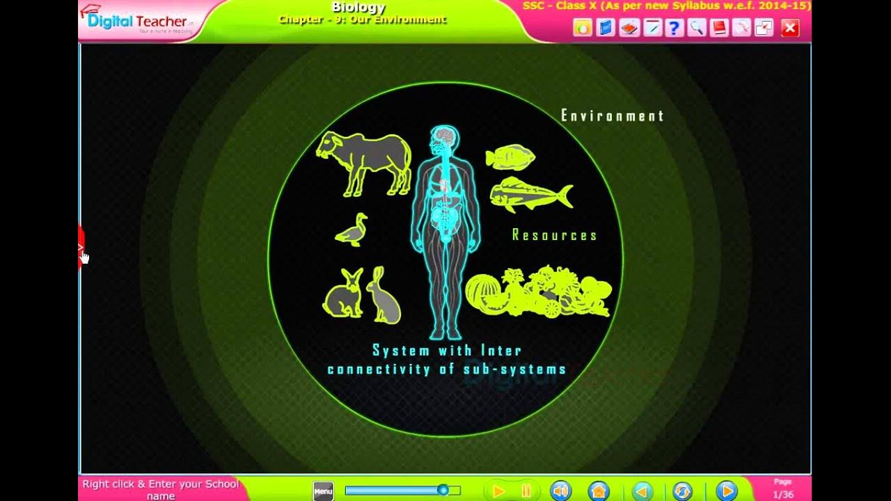 Drag and drop puzzle Food Web, Class 10 Biology | Digital Teacher - YouTube