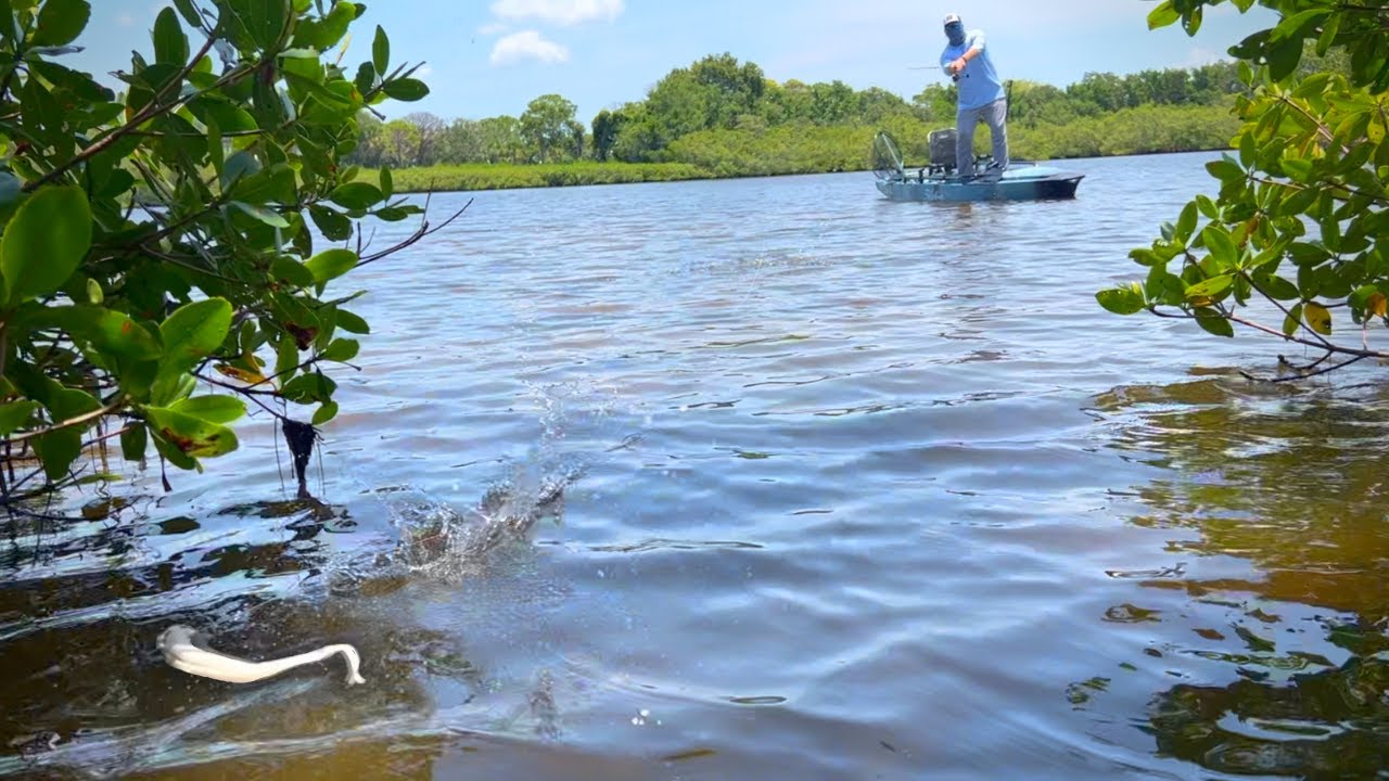 Skipping the Mangroves for BIG Snook and Redfish! - Part 1 - YouTube
