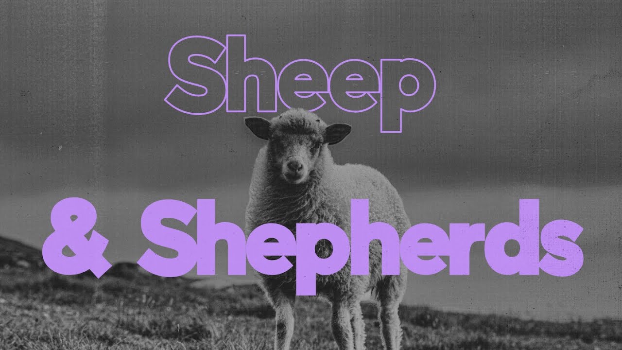 Sheep & Shepherds (Part 2) | Symon Drake | Renew Church NZ Online - YouTube