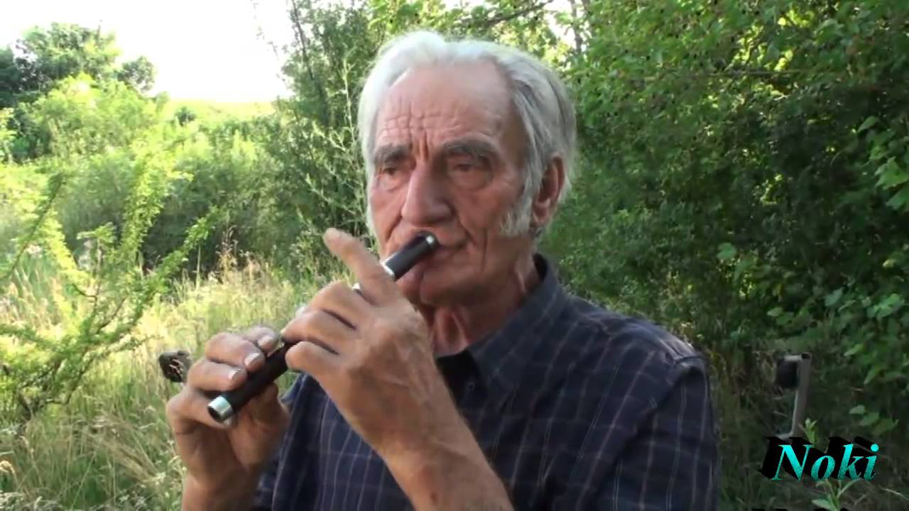 Najlepša vlaška kola na fruli - Petar Ljeparević -10. - YouTube