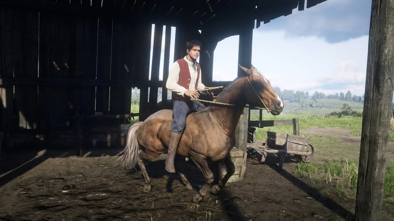 I killed Chick Matthews for chick's treasure map rdr2 - Red Dead ...