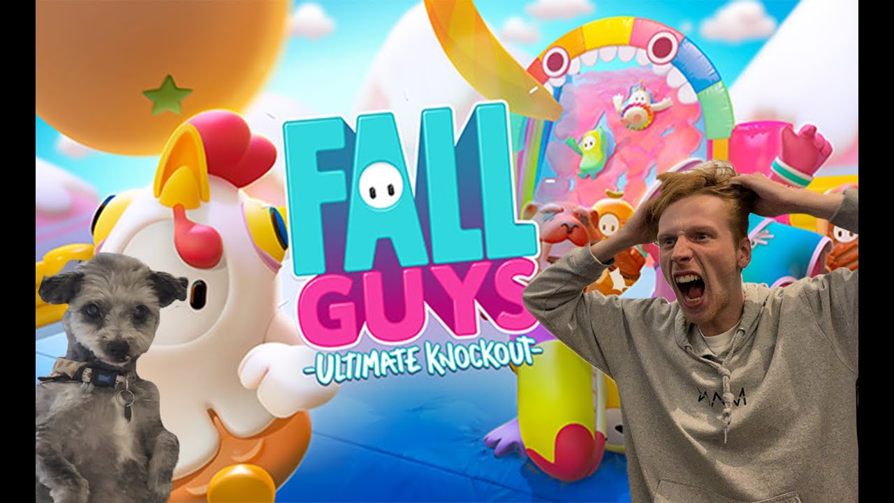 My dog wants to take over the world????????? (Fall Guys) - YouTube