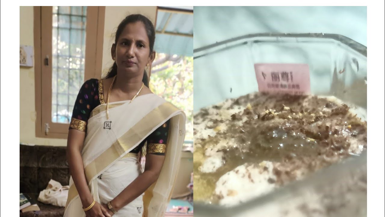 HEALTHY JUICE | HEALTHY JUICE PREPARATION | HOW TO MAKE IN TAMIL ...