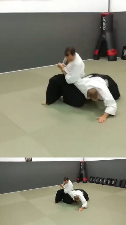 Aikido: Jiyu Waza Sensei Hutch - YouTube