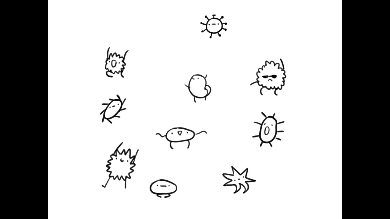 Dancing Bacteria - YouTube