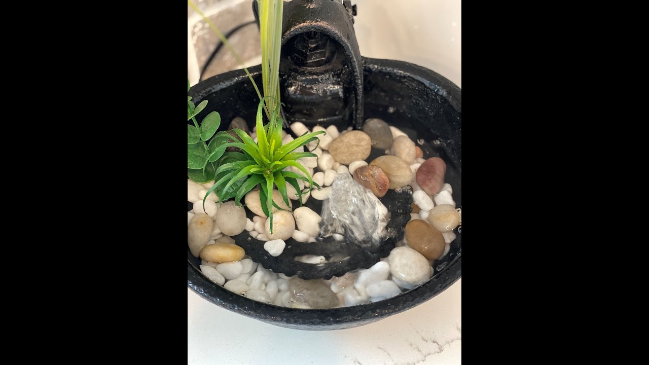 DIY Fountain From a Cattle Watering Bowl! - YouTube