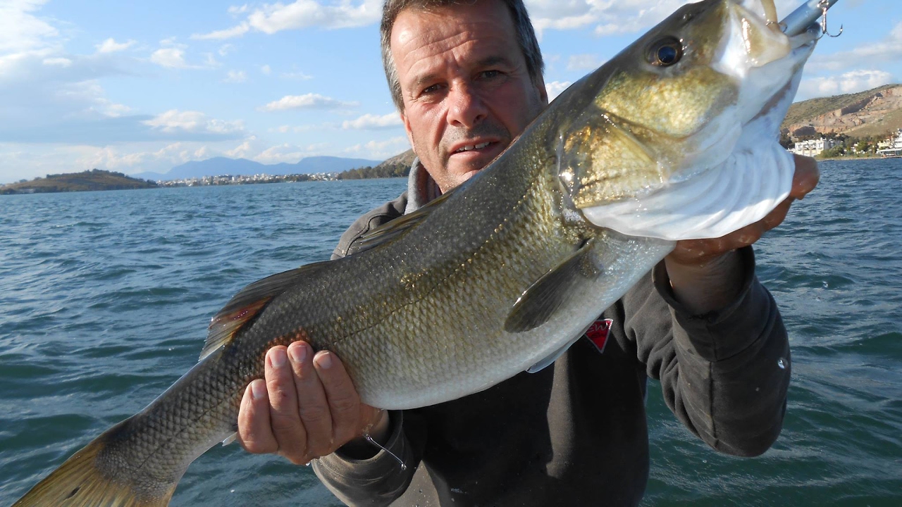 ΛΑΒΡΑΚΙΑ ΣΤΗΝ ΧΑΛΚΙΔΑ ΨΑΡΕΜΑ SPINNING Sunny day! beautiful Pesca ...