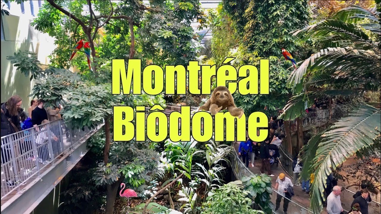 [4K] The Biodome of Montreal, an Immersive and Multisensory Experience ...