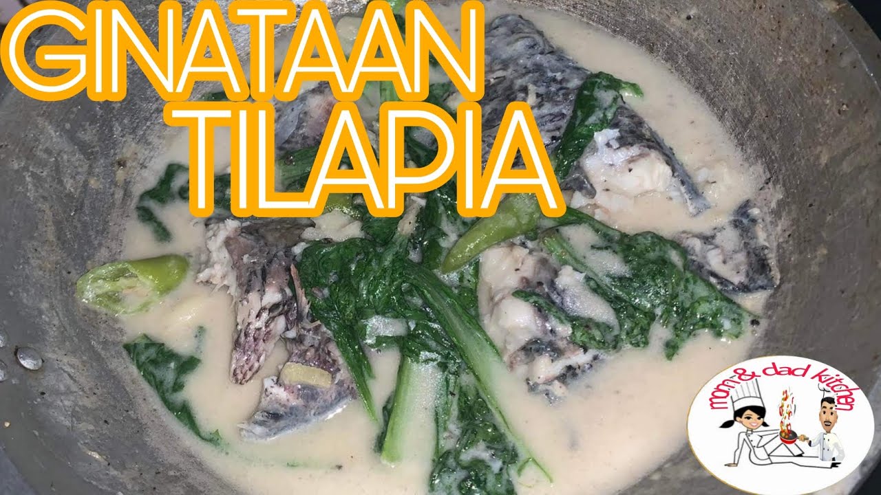 GINATAAN TILAPIA WITH MUSTASA /EASY TO COOK - YouTube