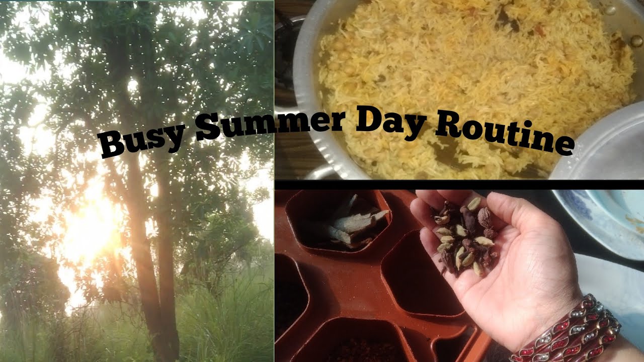 Busy Summer Day Routine💕|Morning Walk👣in Greenery☘️|Grocery Shopping ️ ...