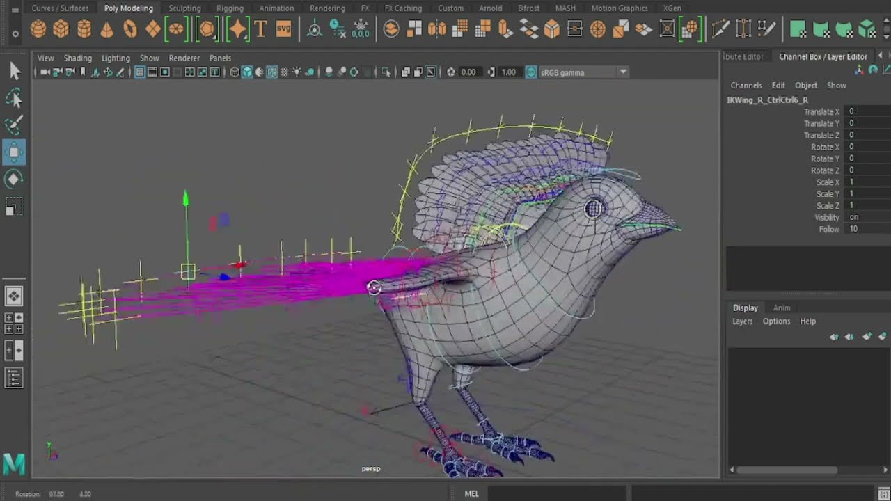 Bird Rigging - YouTube