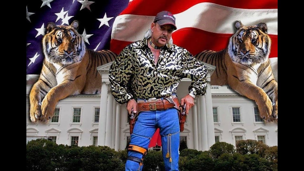 The Guy with the Tigers (Tiger King x Eye of the Tiger Mashup) - YouTube