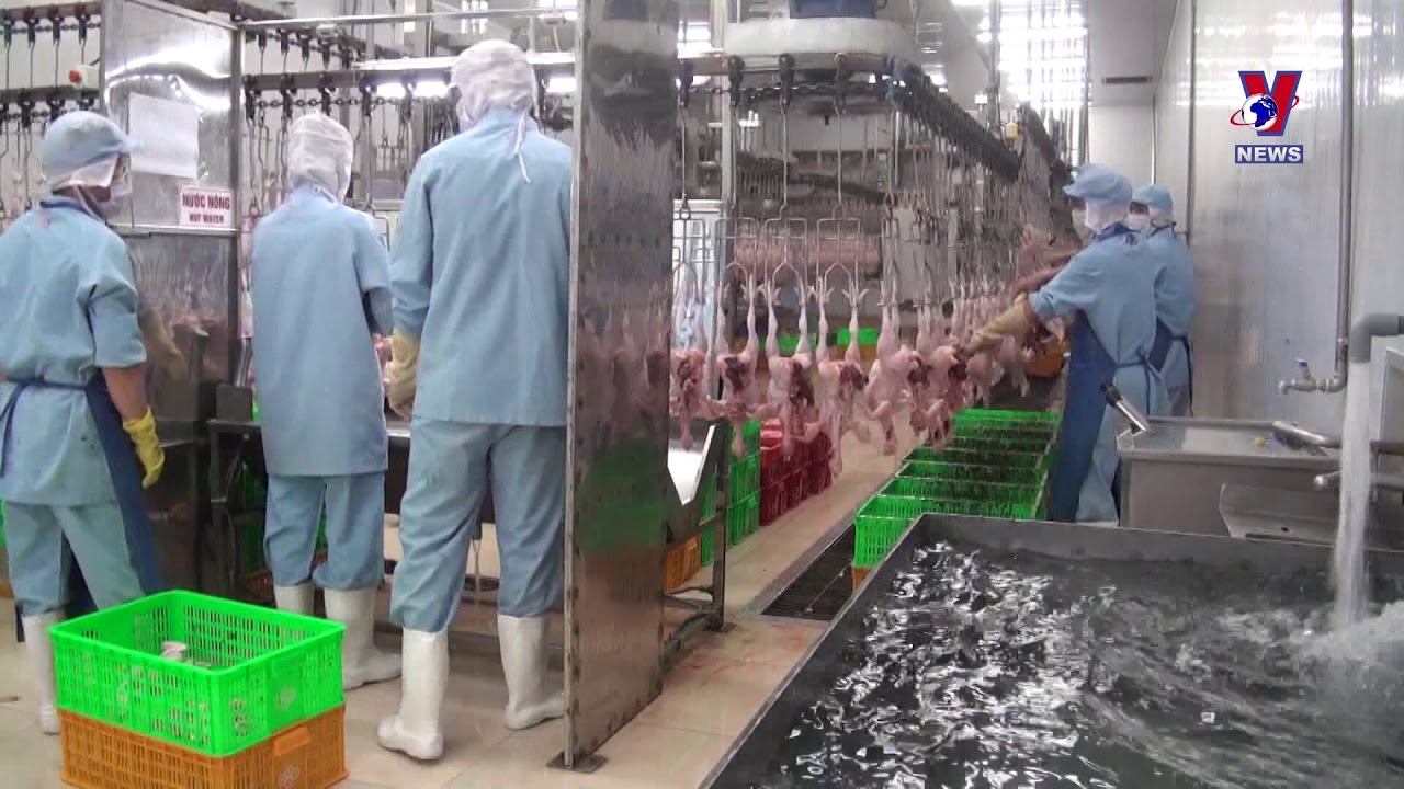 Favourable investment climate brings in FDI capital - YouTube