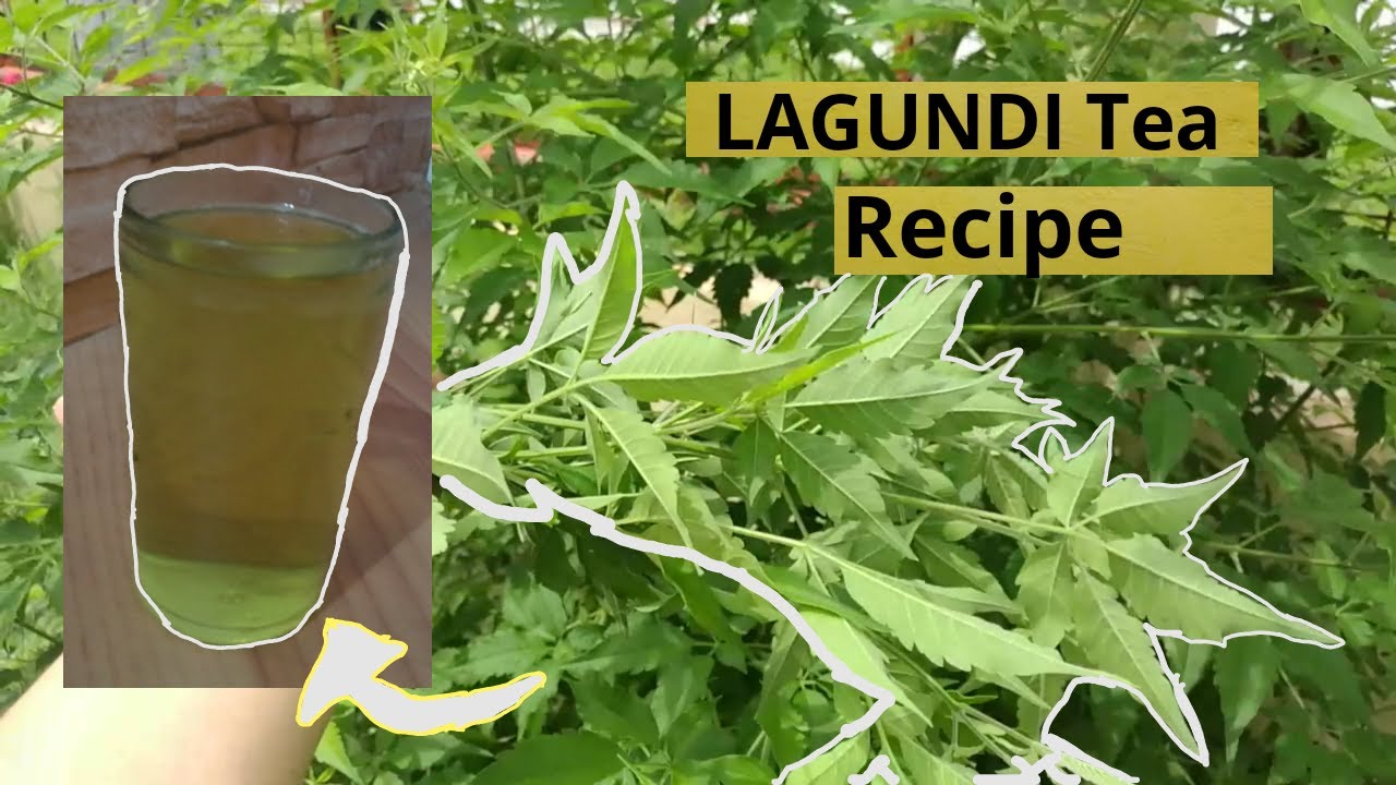 LAGUNDI TEA RECIPE (TAGALOG) how to make Lagundi juice - YouTube