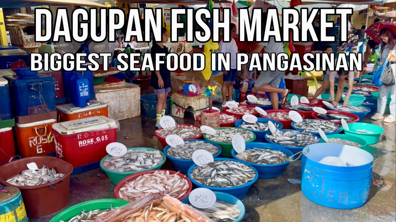 Dagupan, Pangasinan Biggest Fish Market | Seafoods in Philippines - YouTube