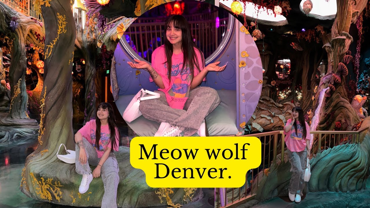 Meow Wolf Denver Colorado ,mi experiencia ,visitando por primera vez ...
