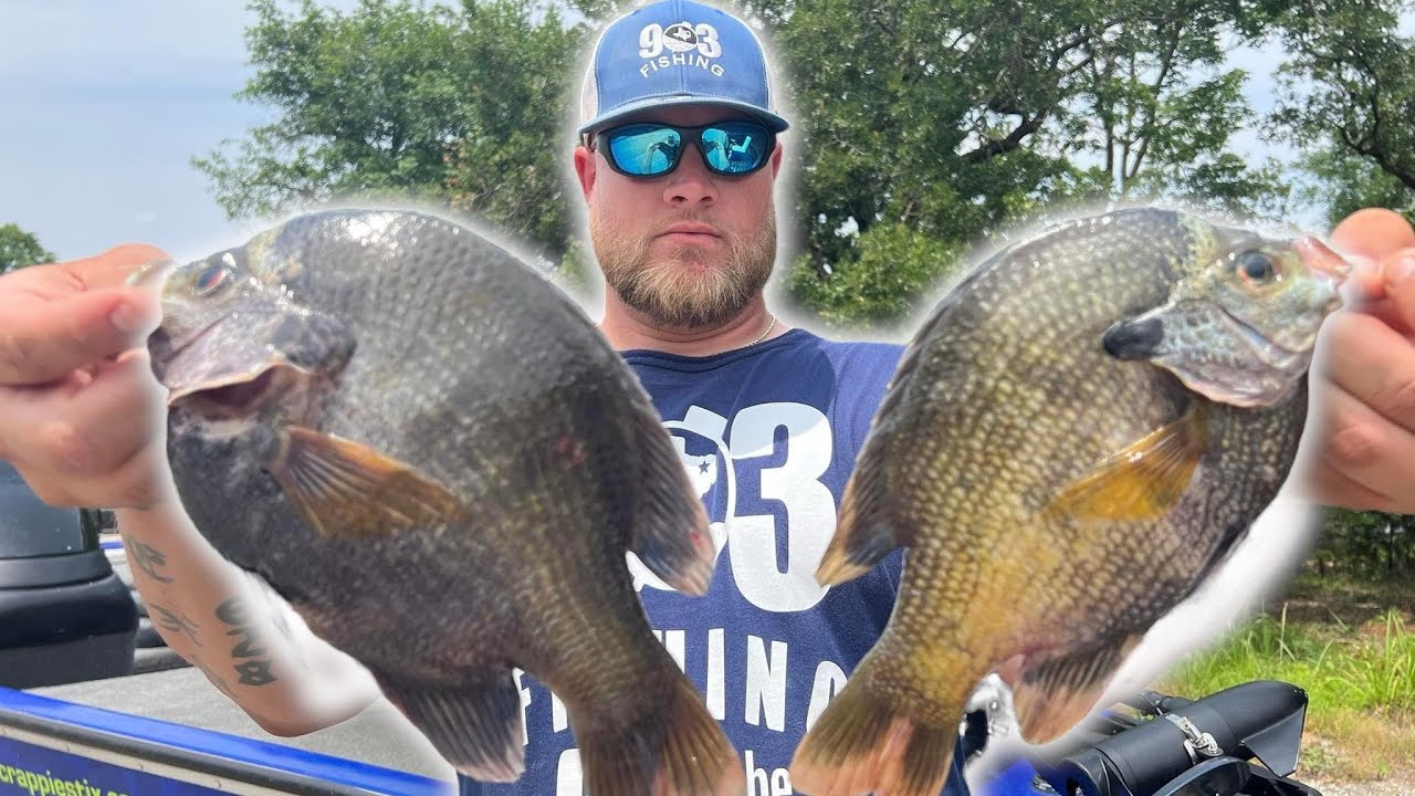 2 HOURS OF CATCHING THE BIGGEST BLUEGILL IN TEXAS!! BLUEGILL FISHING ...