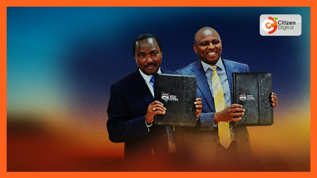 Prof Muigai questions proposals to increase constituencies - YouTube