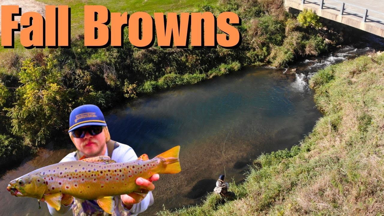 Fall Trout Fishing in the Driftless last day of the season { Fly Fishing with Streamers } - YouTube