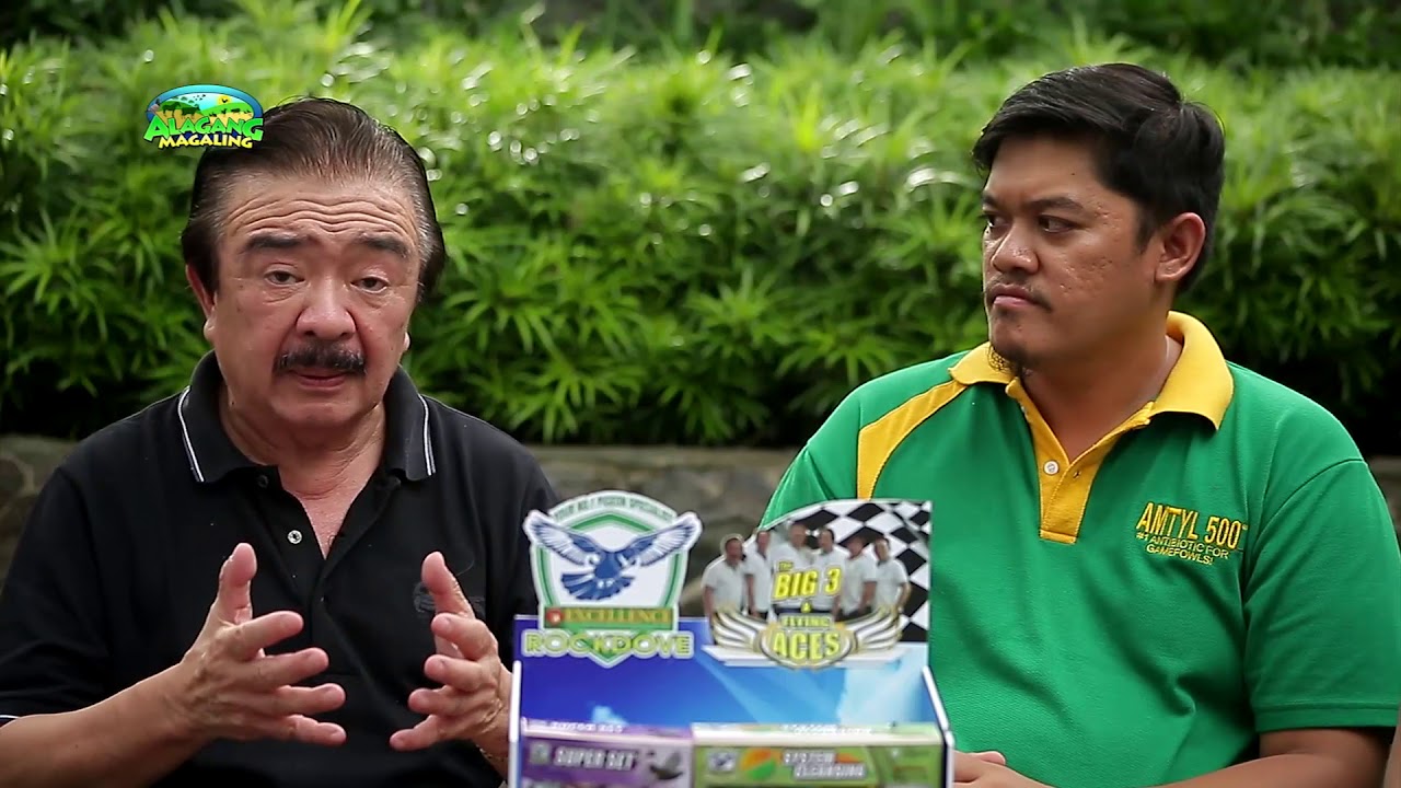 Alagang Magaling S8 EP9 PIGEON TALK - YouTube