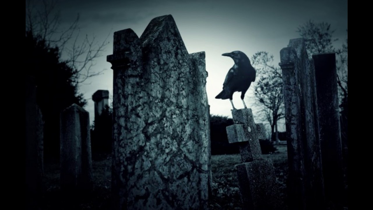 crow sounds with graveyard rain and thuinder - YouTube