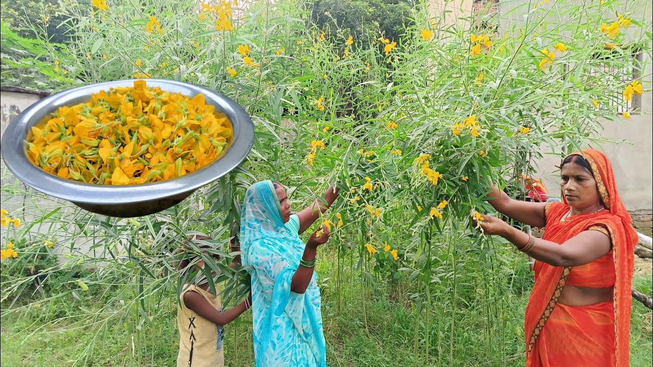Delicious Sanai Flower Curry Recipe || - YouTube