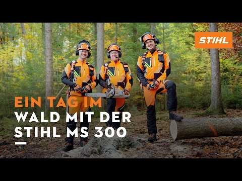STIHL MS 300 im Härtetest: Fällen, Entasten & Ablängen I Ein Tag im Odenwald