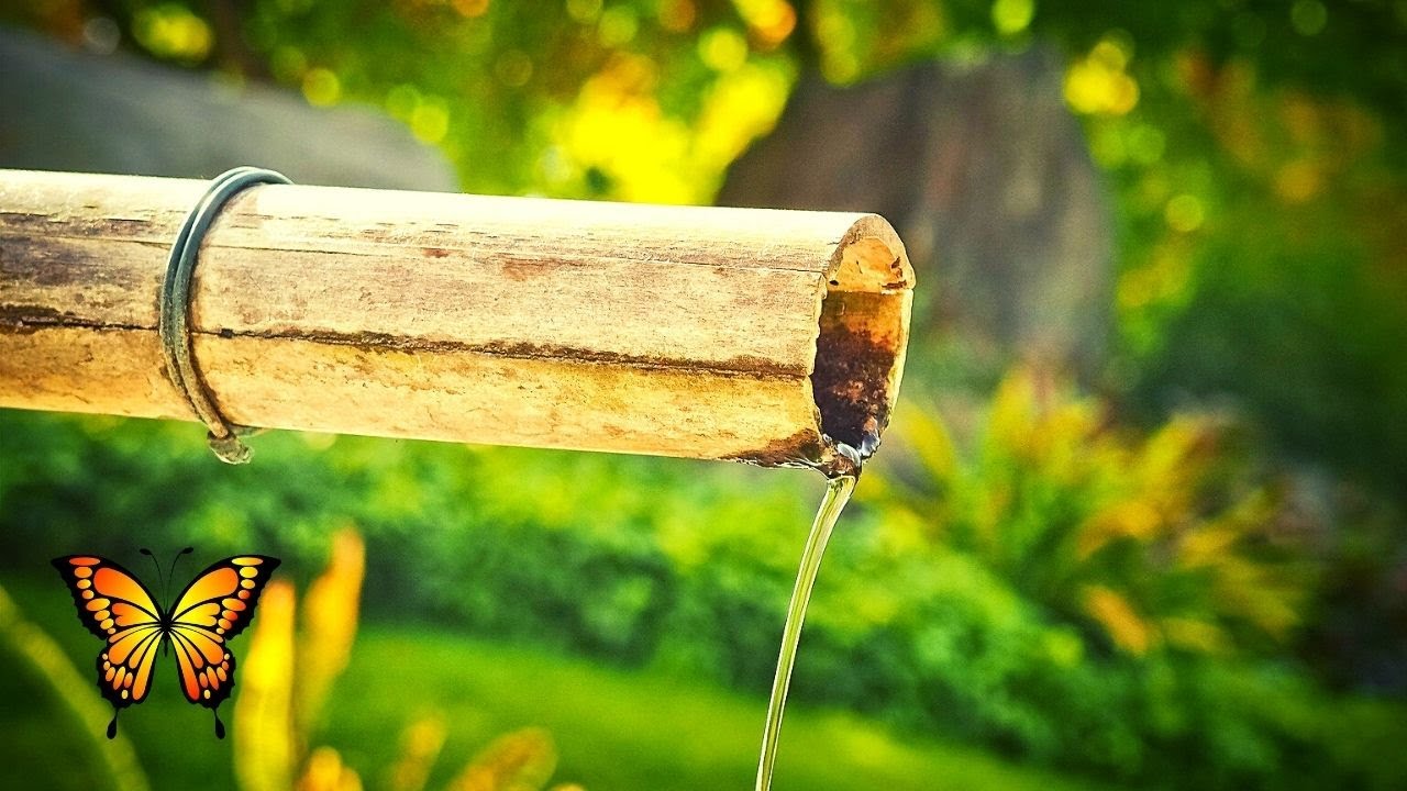 MOST SOOTHING BAMBOO WATER SOUND - YouTube