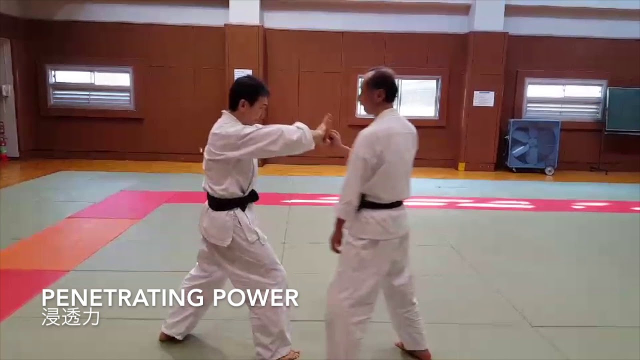 Various Aiki Techniques - YouTube