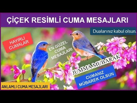 Çiçek Resimli Cuma Mesajları 2022, En Güzel Resimli Cuma Mesajları, Hayırlı Cumalar, JUMMA MUBARAK