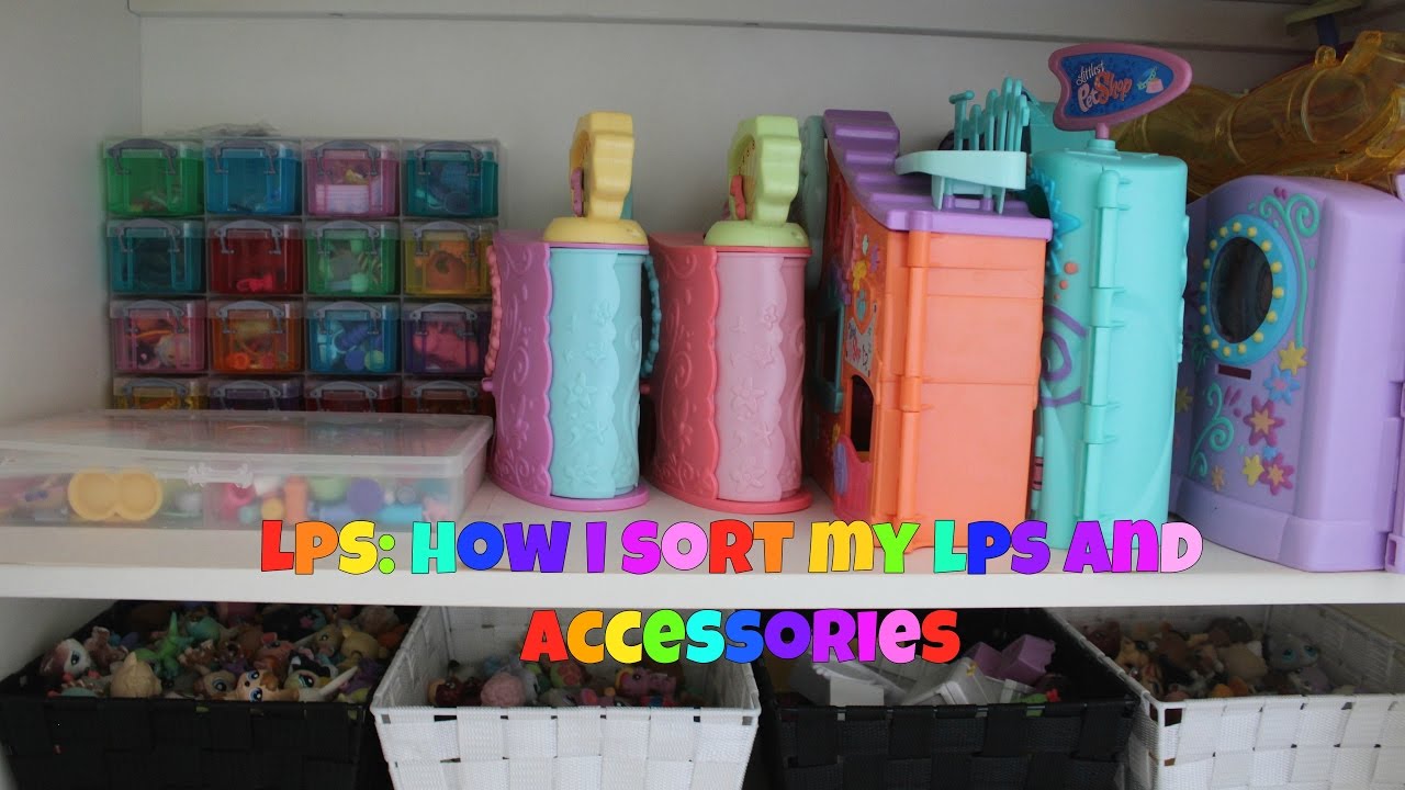 Lps: How I Sort My Lps and Accessories - YouTube