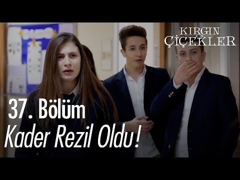 Okulun tuvaletinde çamaşır yıkadı! - Kırgın Çiçekler 37. Bölüm