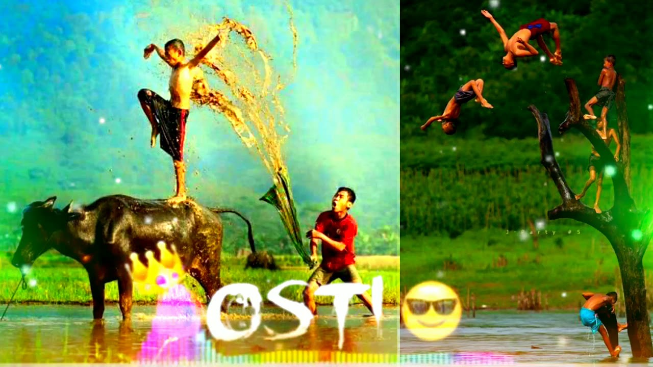 😍Dost whatsApp status. 🤟 - YouTube