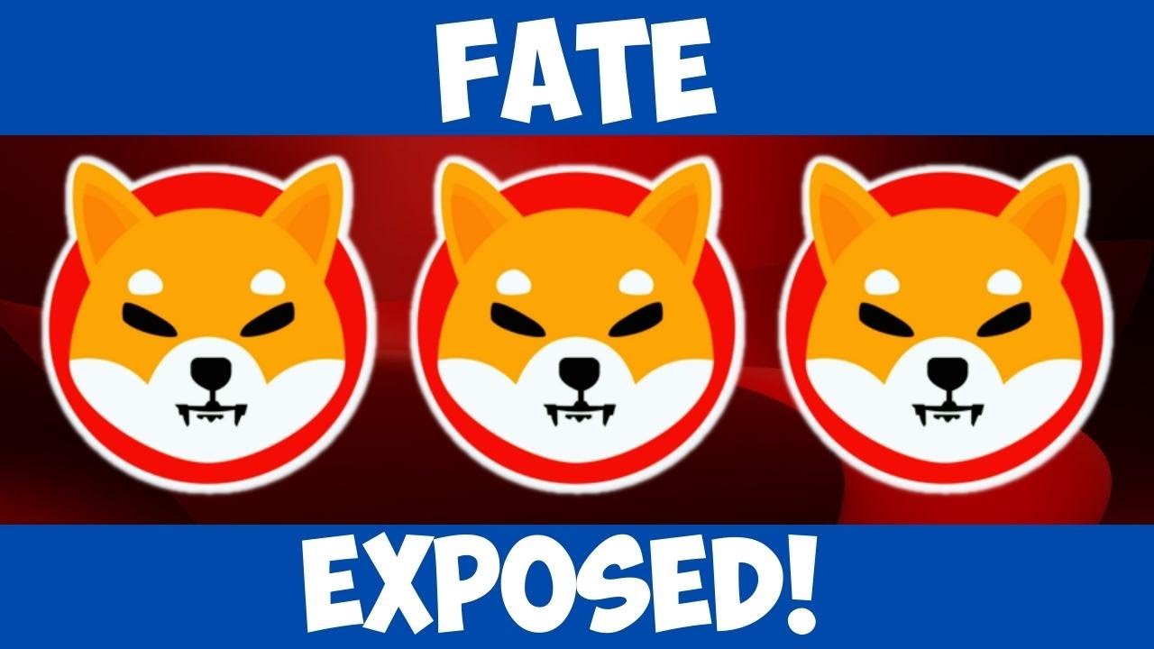 Breaking News! The FED Just Dropped The Hammer! Insane Shiba Inu Coin ...