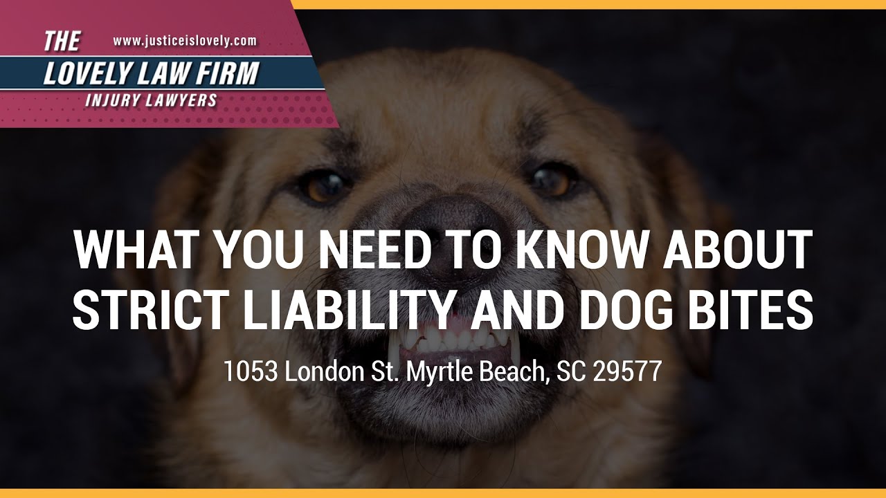 What You Need To Know About Strict Liability And Dog Bites - YouTube