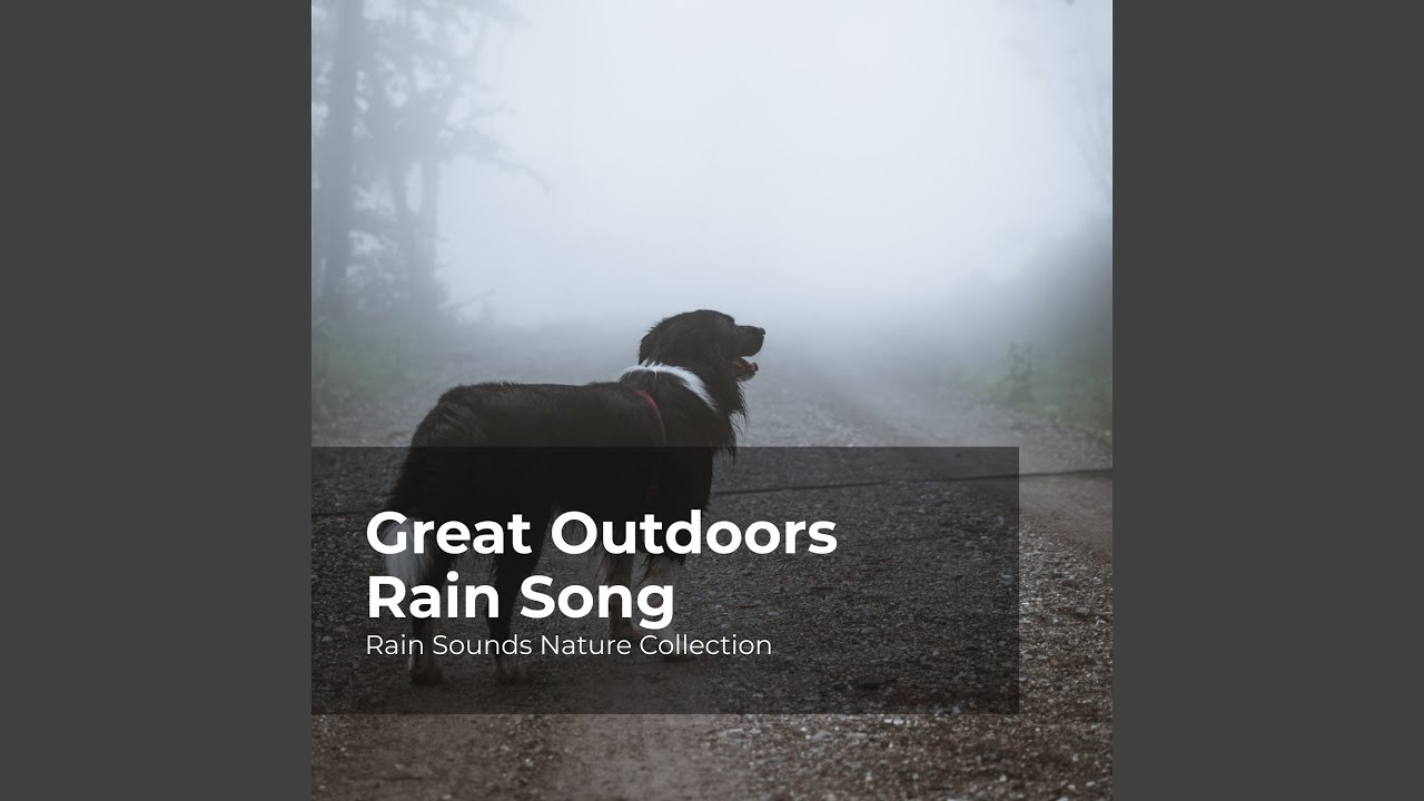 Earthy Teeming Rain - YouTube Music