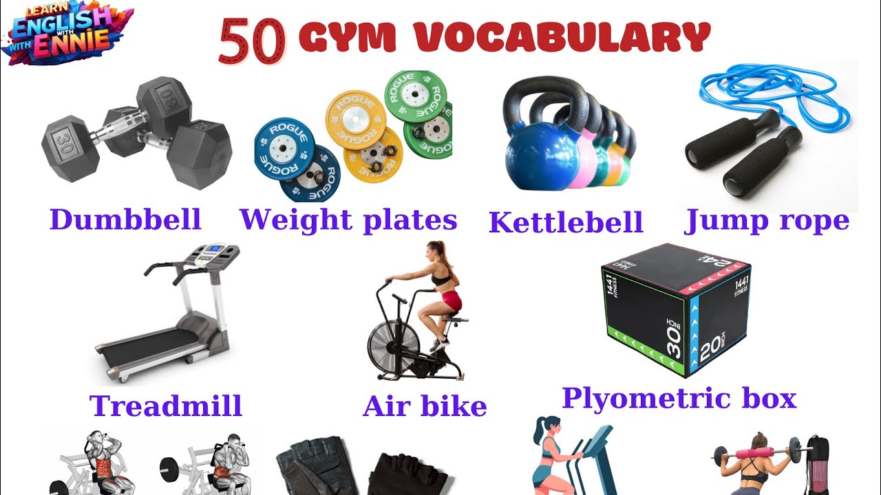 50 Gym Vocabulary And How To Make Sentences #english #daily # ...
