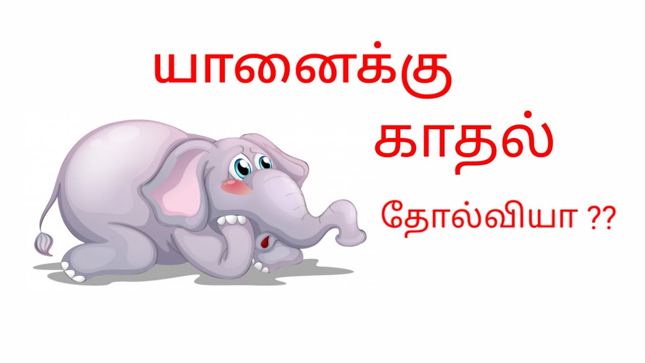 Elephant Untold Facts In Tamil Voice Over Oh Apdiya YouTube elephant-untold-facts-in-tamil-voice-over-oh-apdiya-youtube