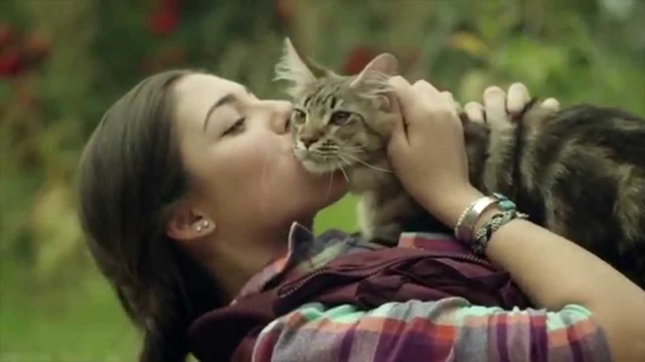 CEVA CAT CARE AWARDS SUCCESS - YouTube