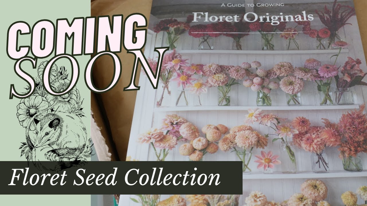 COMING SOON: THE COMPLETE FLORET ORIGINALS COLLECTION - YouTube