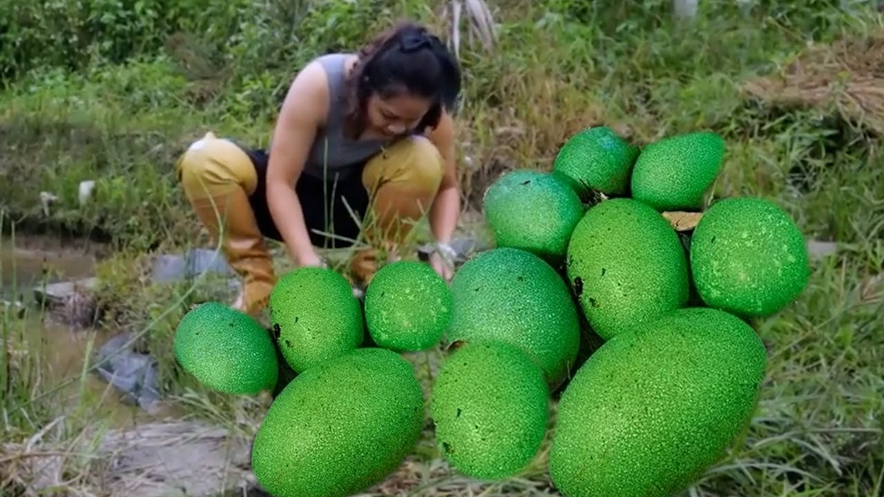🔥 The girl discovered giant clams in the wild and collected magical and ...