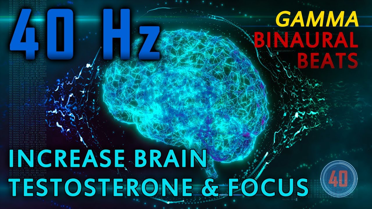 Increase Your Brain (Testosterone) & Focus with 40 Hz Frequencies ...