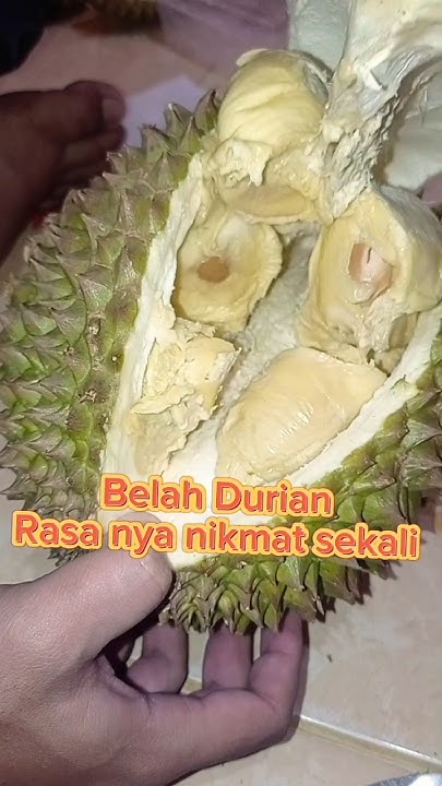 Belah Buah Durian, Ada Yang Tau ini jenis buah Durian apa? - YouTube