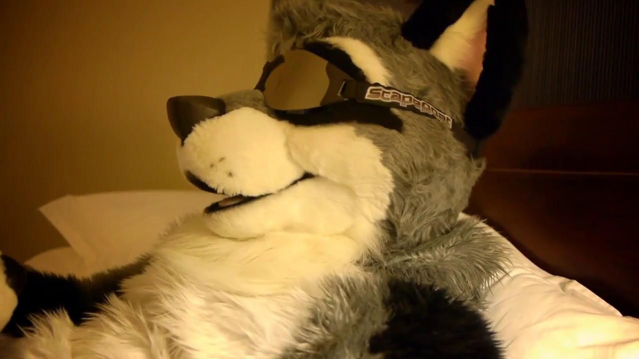 Hangover Ft. Furries - HD - YouTube Music