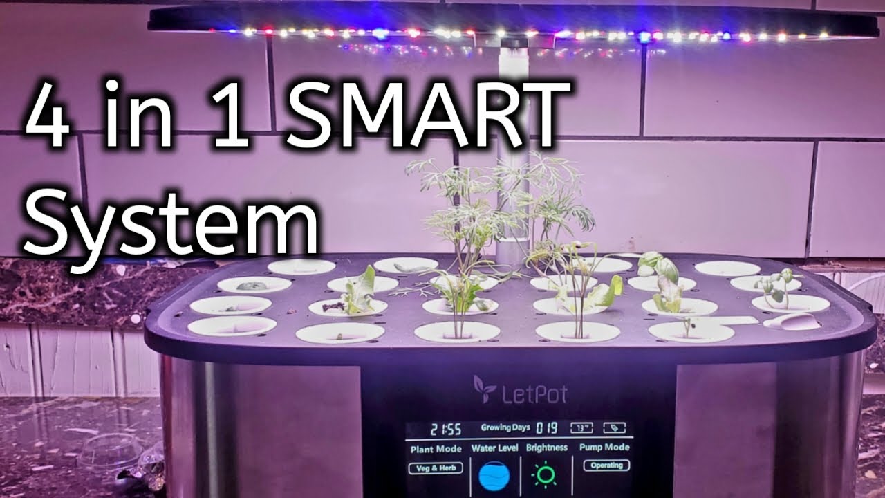 LetPot 4 In 1 SMART Hydroponic System Review - YouTube