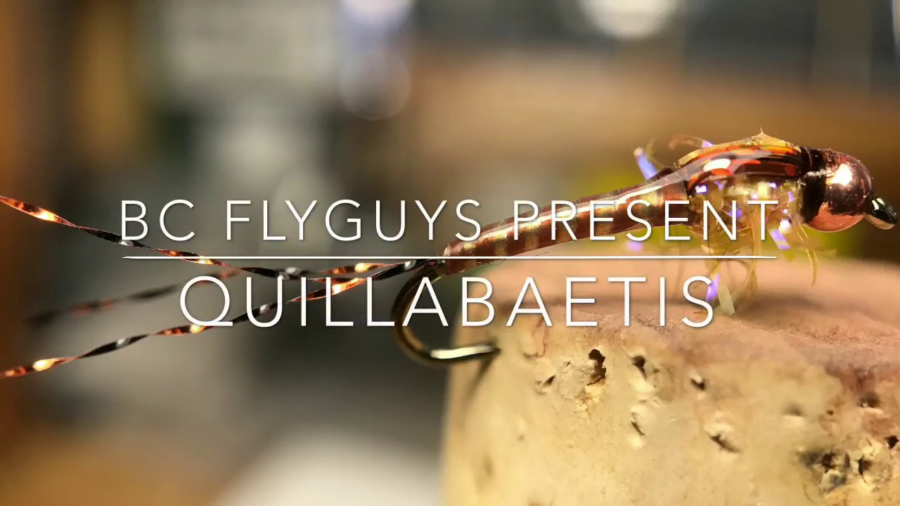 Quillabaetis Mayfly Nymph Fly Pattern - YouTube
